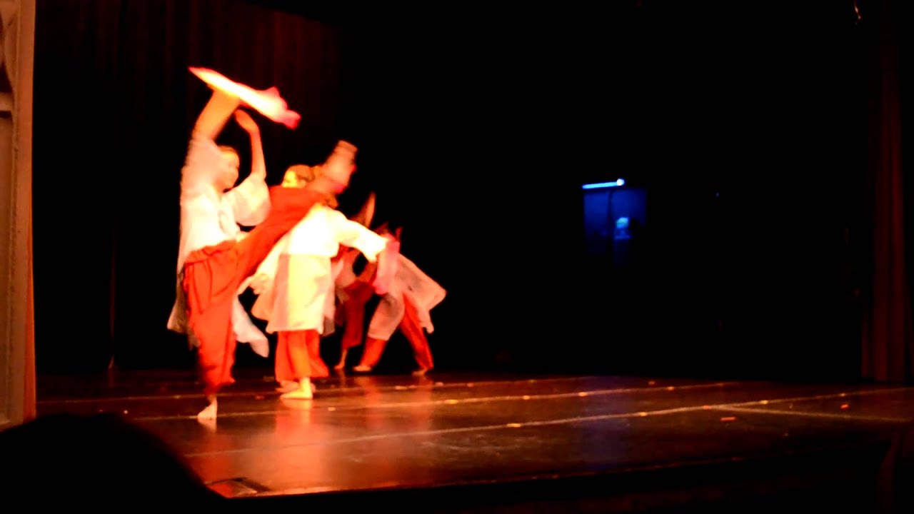 Variasians Dance Performance 11/12/2010