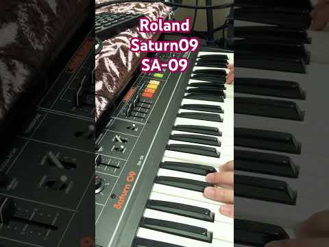 🎹 Roland Saturn-09 SA-09 | Vintage Analog Synth & Combo Organ | Reverb