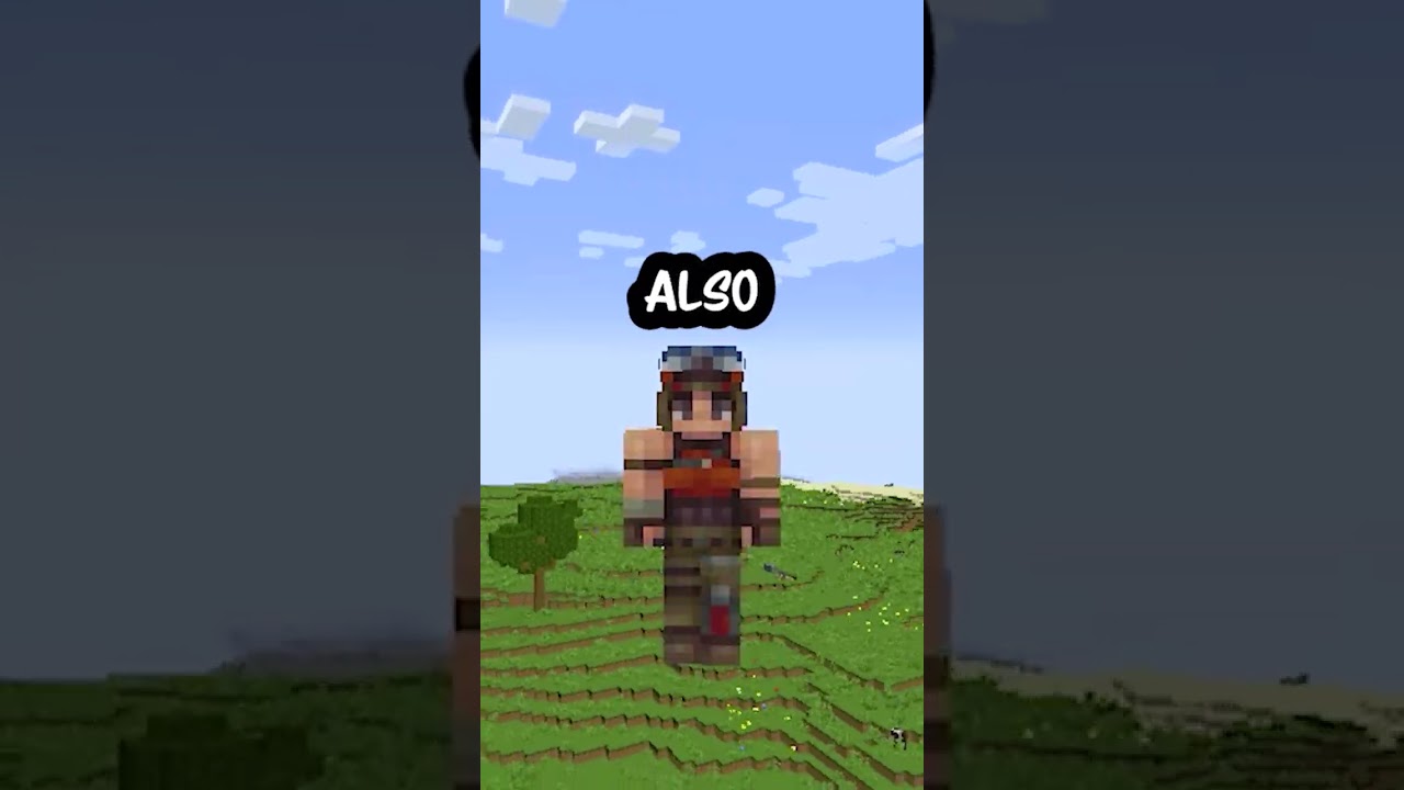 The History of illegal Minecraft Names #shorts