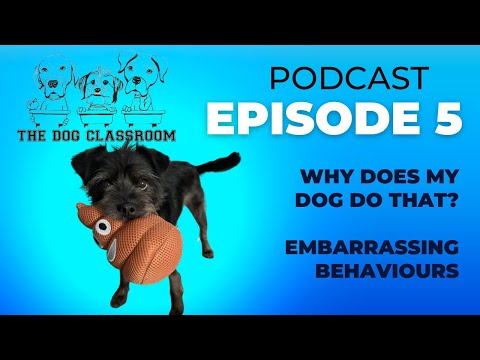 PODCAST - Episode 5 - Embarrassing Behaviours: Why does my dog do that?