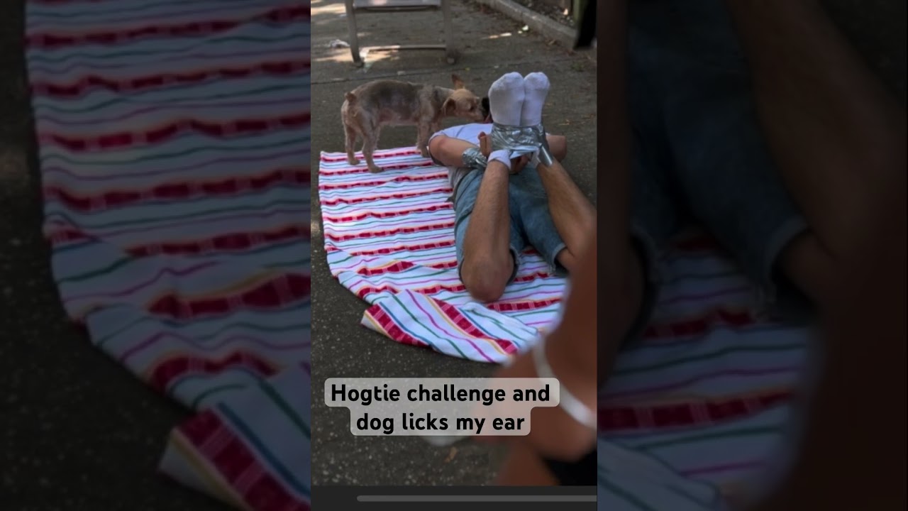 DUCK TAPE HOGTIE CHALLENGE | #shorts #couplecomedy #challengevideo