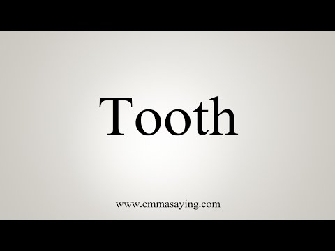 How To Say Tooth