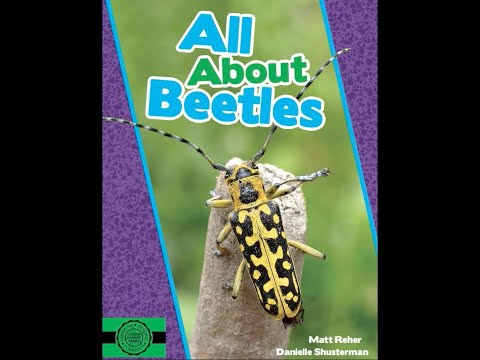 2G Book - All About Beetles