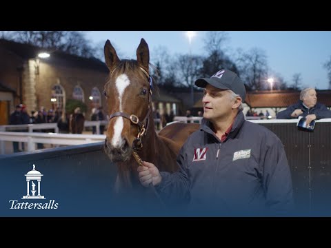 Tattersalls Newmarket