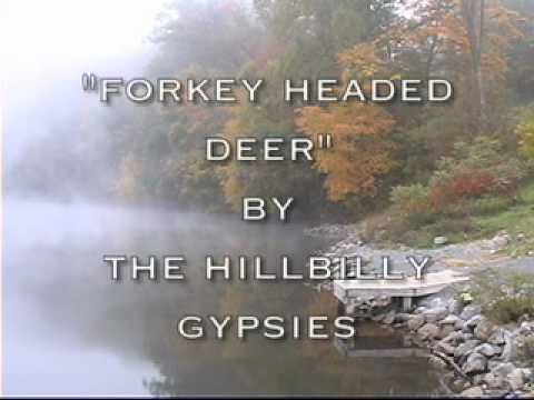 Cheat Lake Rail to Trail Morgantown, West Virginia