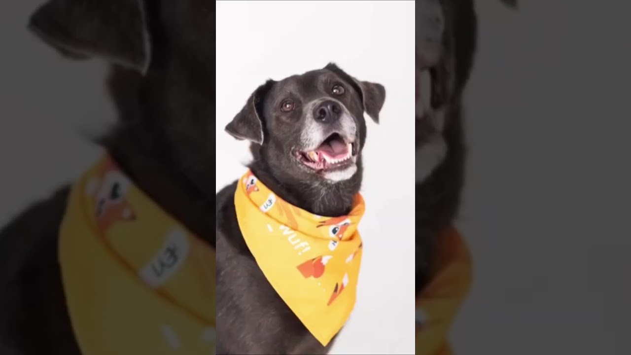 WUF!