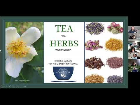 The History of Tea: Tea vs. Herbs
