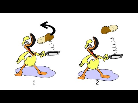 American Sign Language ASL Video Dictionary - flip