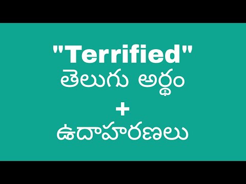 Terrified meaning in telugu with examples | Terrified తెలుగు లో అర్థం @Meaning in Telugu