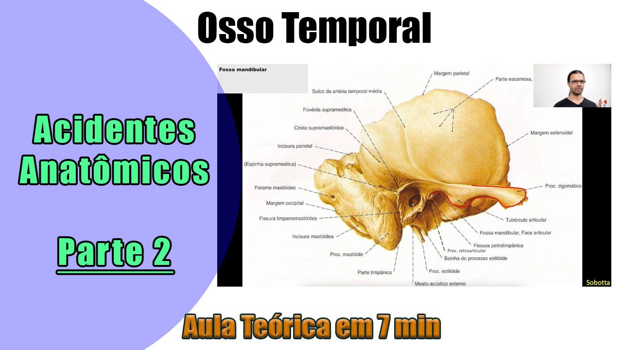 Osso Temporal - Aula Teórica - Parte 2 - Anatomia Humana