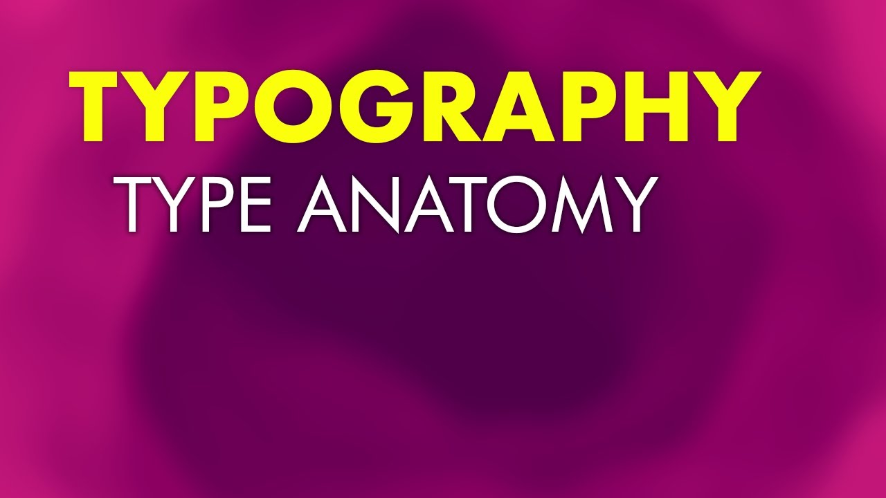 Typography: Type Anatomy