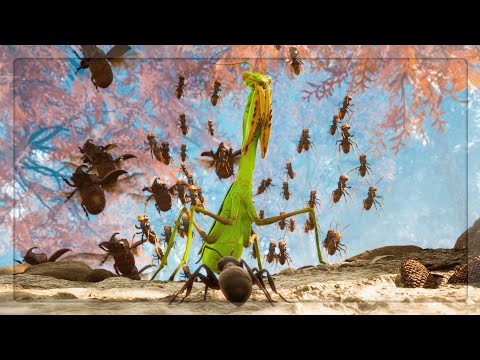 Steam Community :: Video :: I USED A GIANT TITAN MANTIS To DOMINATE ...