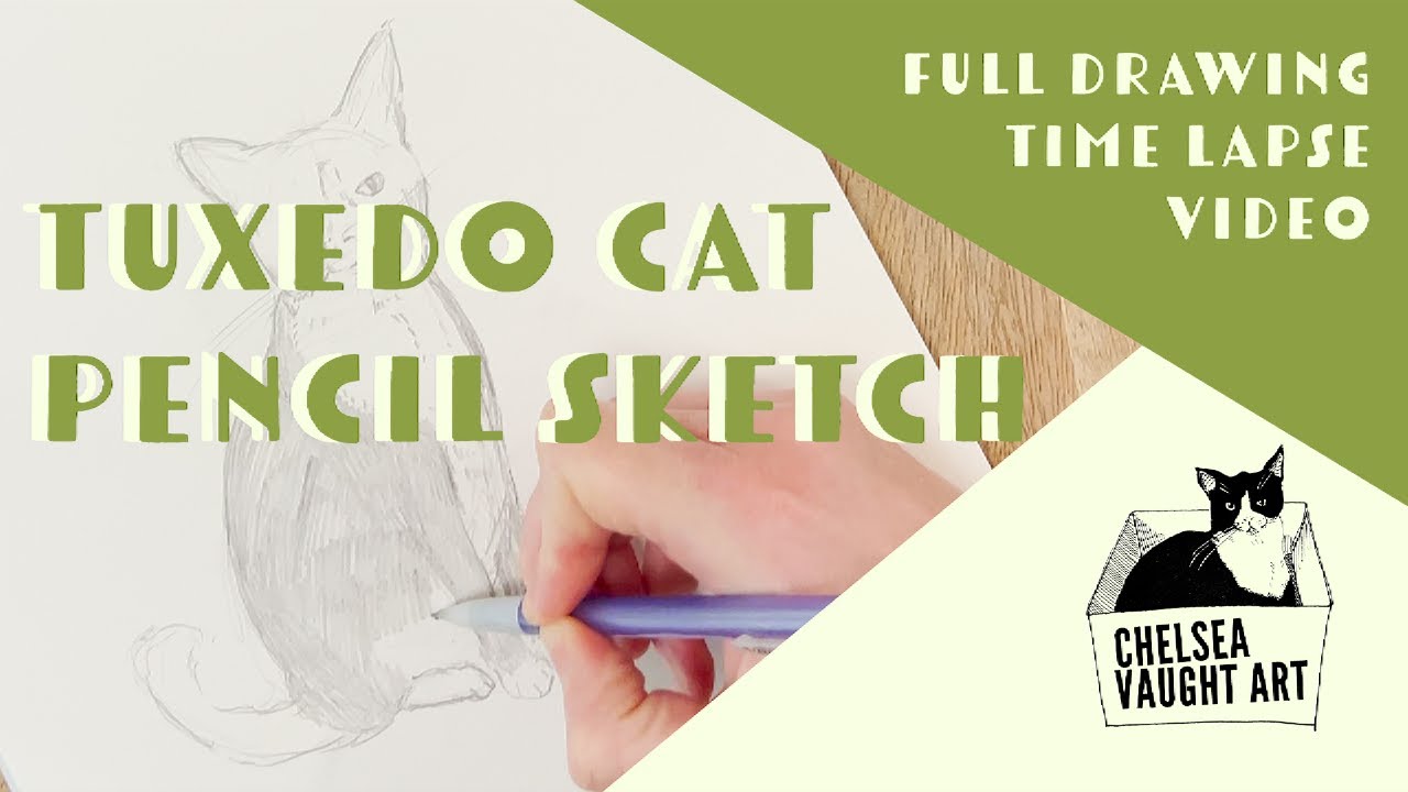 Tuxedo Cat Pencil Sketch - Full Drawing - Timelapse Video