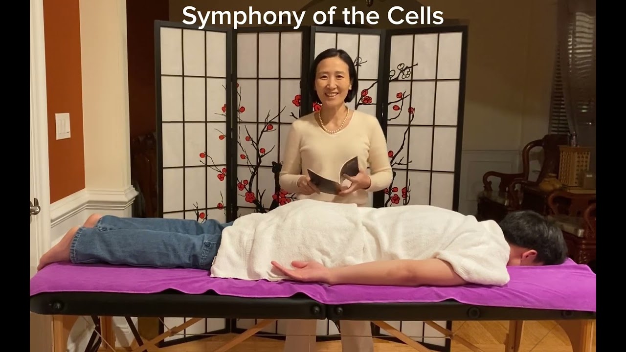 Symphony of the Cells ID Protocol