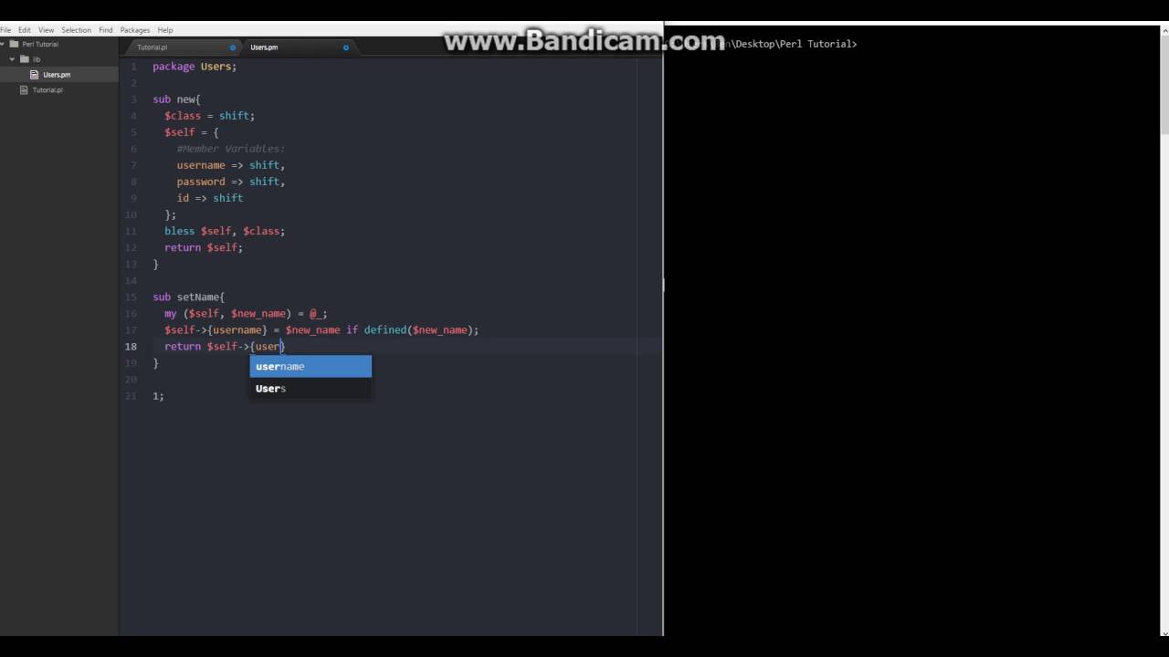 Perl Tutorial: Object Oriented Programming
