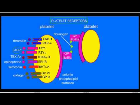 OPTICAL PLATELET AGGREGOMETRY