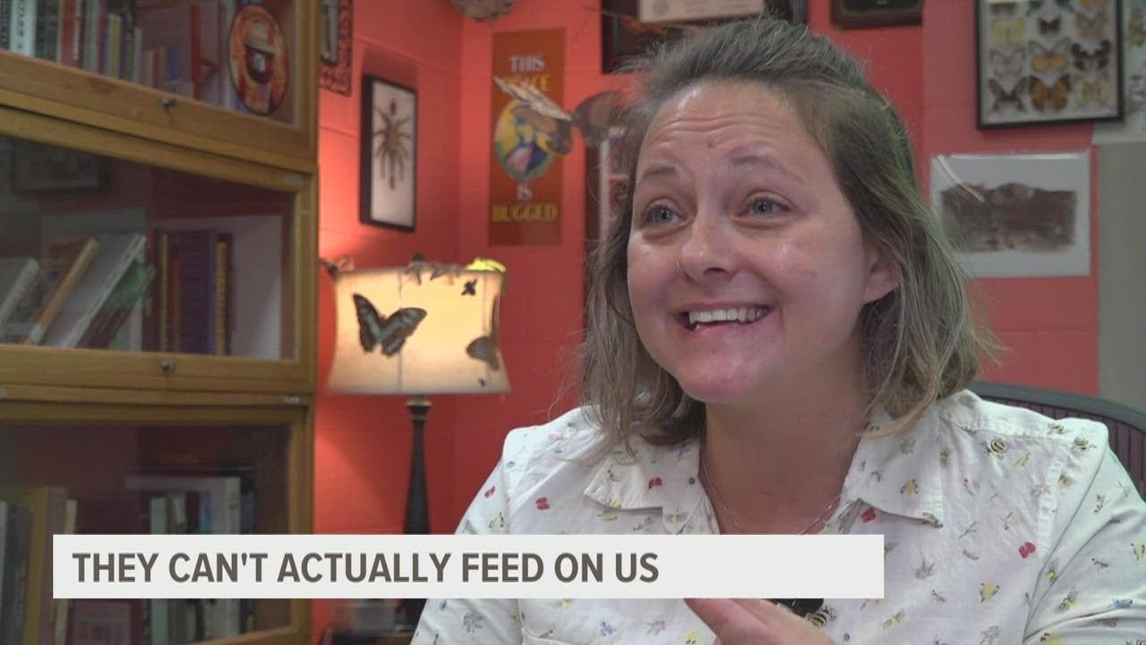 What are these tiny bugs and where are they coming from?