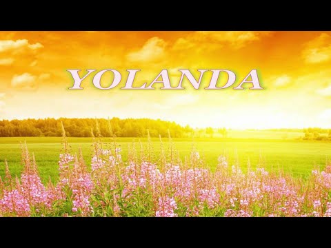 YOLANDA! WHAT DO YOU MEAN?