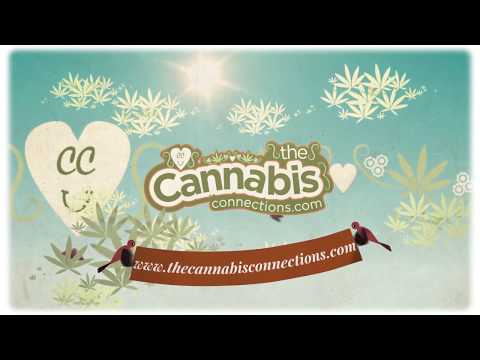 Key Predictions for the Marijuana Industry in 2017