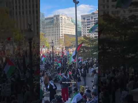 Large crowd gathers in Washington, D.C. for pro-Palestinian rally