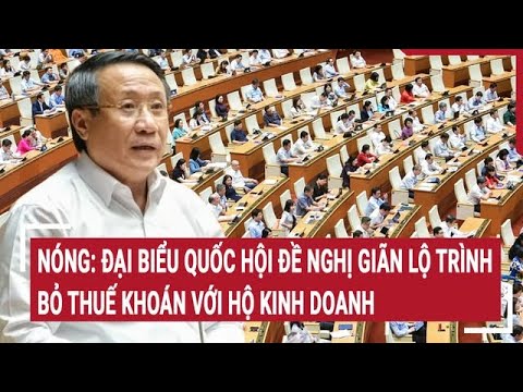 Nóng: Đại biểu Quốc hội đề nghị giãn lộ trình bỏ thuế khoán với hộ kinh doanh