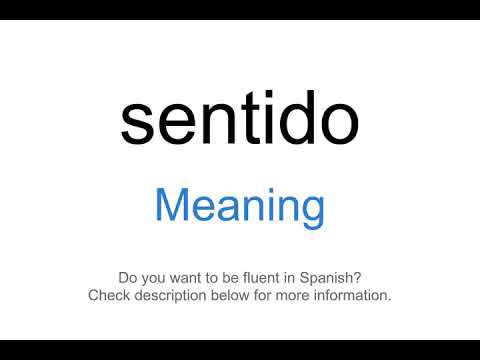 How to say "Meaning" in Spanish | sentido
