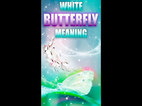 White Butterfly Meaning - What It Means When You See It Often