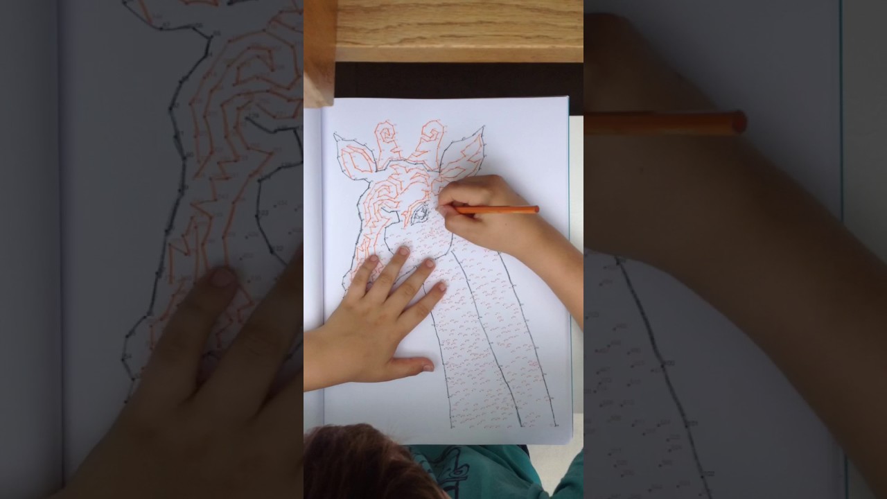 Extreme Dot To Dot Timelapse | Giraffe