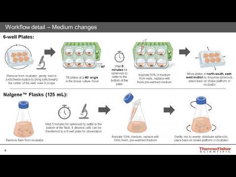 Addressing the needs of 3D suspension culture systems through the optimization of a new PSC medium