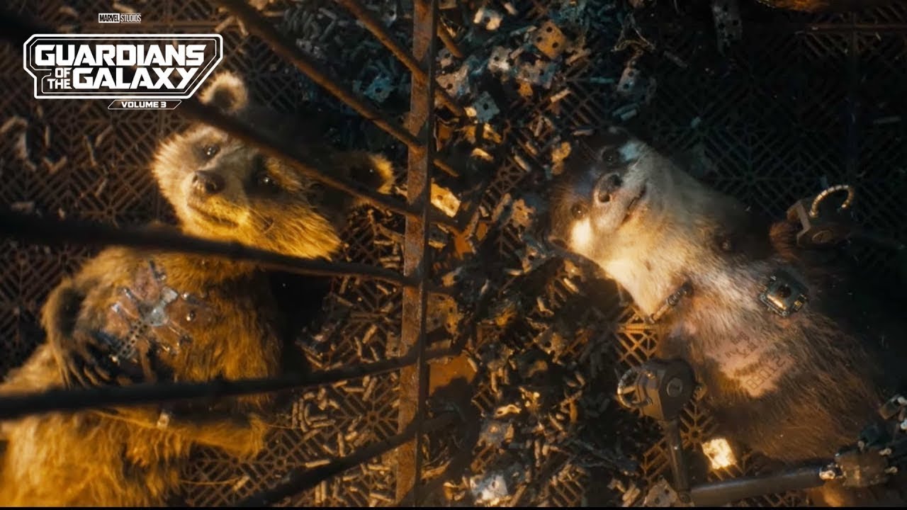 Guardians Of The Galaxy Vol. 3 | Lylla’s Death Scene | Rocket Goes Mad | GOTG3 - 2k/4k