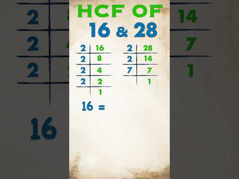 HCF of 16 & 28 / #shorts #short #hcf #viral #trending #hcf_lcm Public Maths