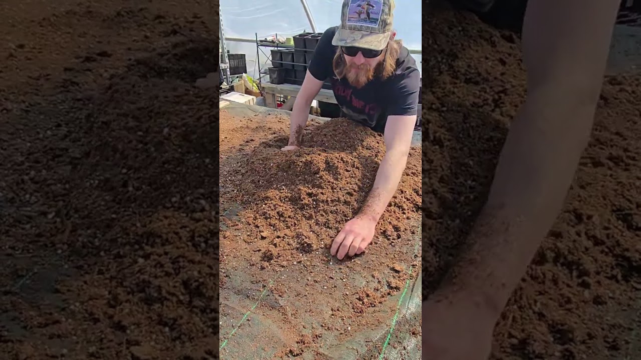 How to Prepare Soil for Planting 🌱 Greenhouse Soil Prep Tips