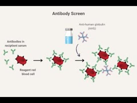 Transfusion medicine Pathology CPT codes - simplify medical coding