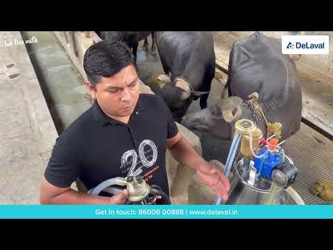 DeLaval Private Limited - Manufacturer of Milking Machines And ...