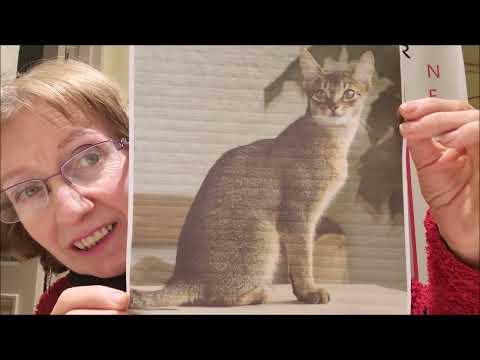 EJERCICIOS DE TALLER DE MEMORIA DE SILVIA KARAMANUKIAN