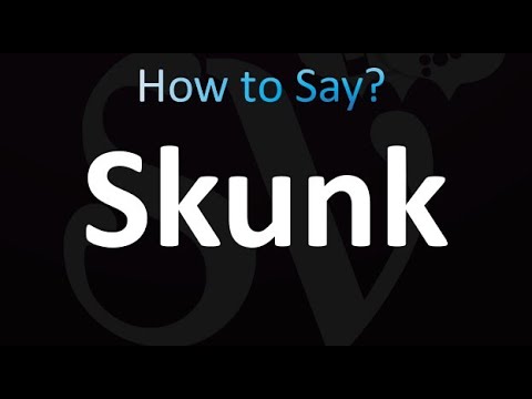 How to Pronounce Skunk