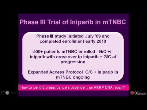 DNA Repair Enzymes as Therapeutic Targets in Breast Cancer - Joyce O'Shaughnessy, MD