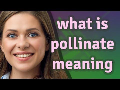 Pollinate | meaning of Pollinate
