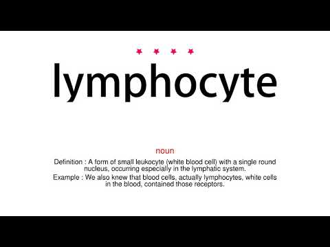 How to pronounce lymphocyte - Vocab Today