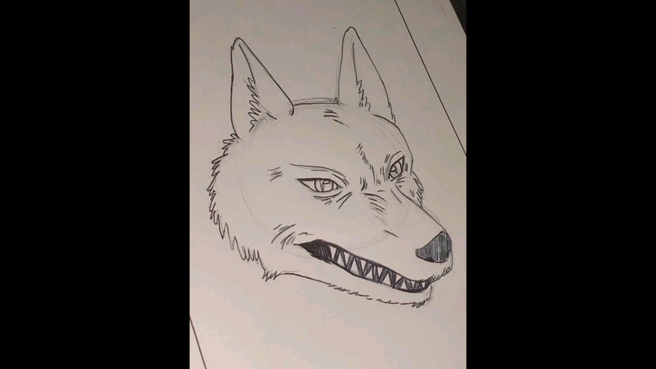Wolf Head Drawing|Draw Edit| #WolfDrawing#beginnersbeginners how to draw a wolf