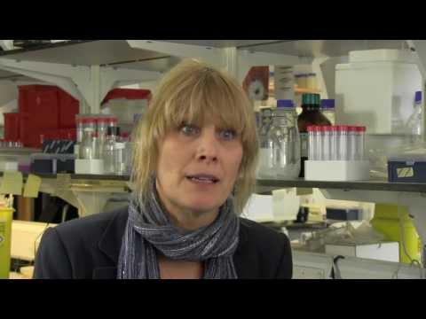 Cancer Research Trials | Cancer Research UK