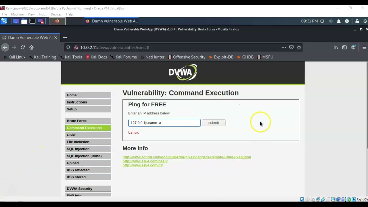 Exploit Vulnerable Web Applications Using Command Injection