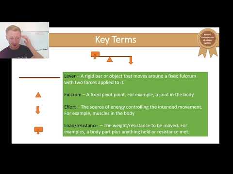 What Are The Different Classes of Levers In The Body - LCPE