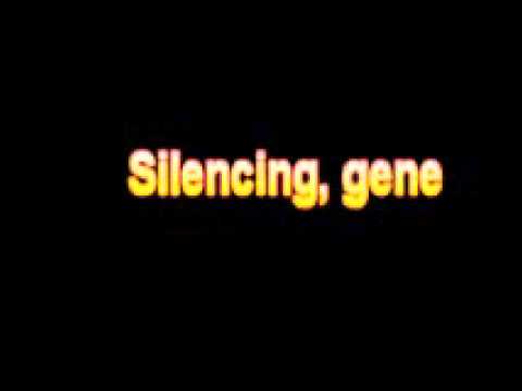 What Is The Definition Of Silencing, gene Medical School Terminology Dictionary