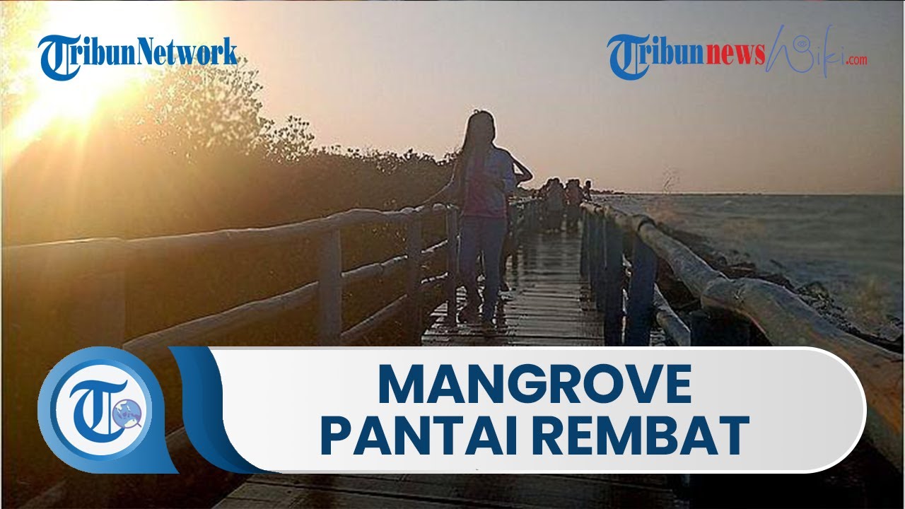 Berwisata ke Pantai Rembat Indramayu dan Melihat Keindahan Ekowisata ...