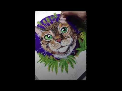 Calico kitty Time-Lapse By GEORGIA TOONS