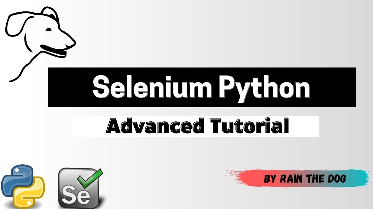 Selenium Python tutorial | Element not interactable/blocked, fully loaded page, endless loading