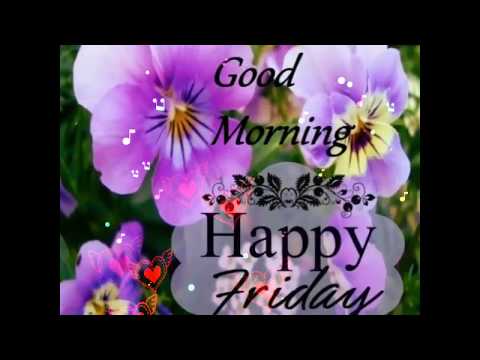 Good morning friday, best good morning images, whatsapp images & beautiful flowers images