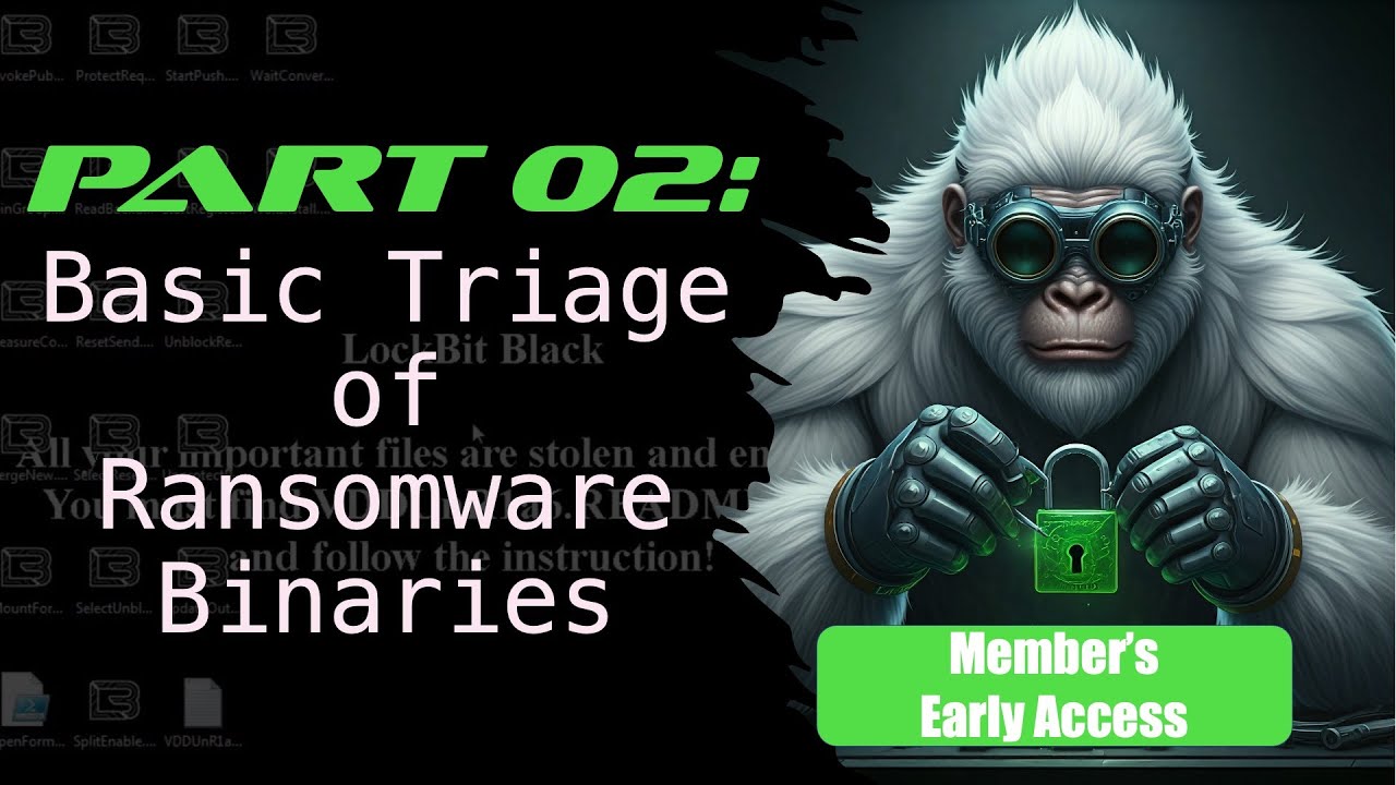 02 - Performing Basic Triage Analysis and Unpacking with x64dbg