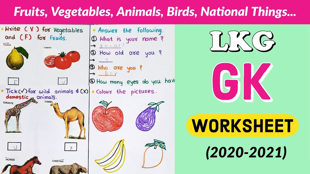 LKG GK Worksheet । GK worksheet for LKG । Junior Kg । Kindergarten GK worksheet